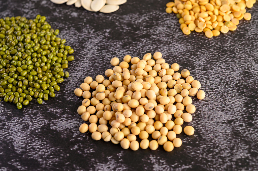Pea Protein Vs. Soy Protein - What’s The Difference | Vivo Life