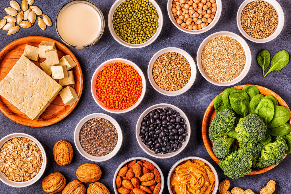 Exploring the Process: How Is Protein Powder Made? | Vivo Life News