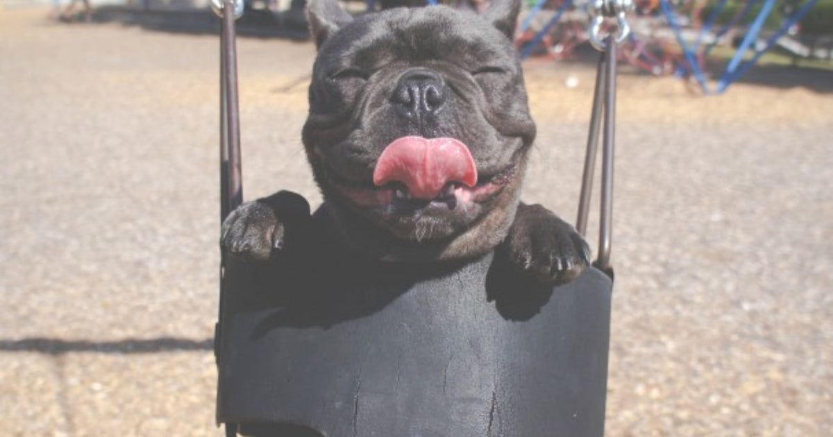 21 Ways to Kick Stress in The Balls | Vivo Life