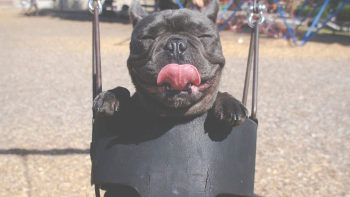 21 Ways to Kick Stress in The Balls | Vivo Life