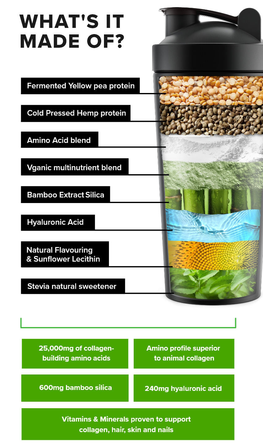 Plant Protein Collagen Builder | Vivo Life